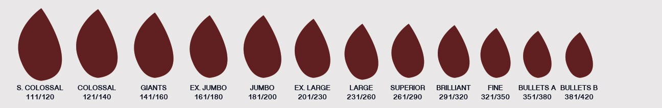 Προϊόντα - Aitolia Olives